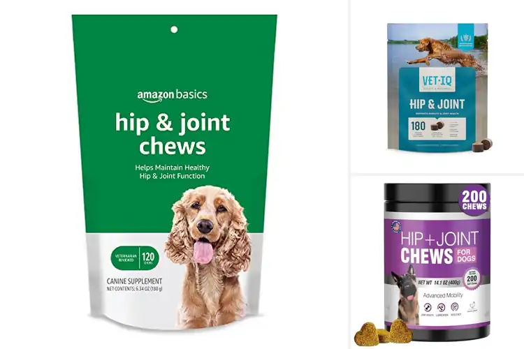 Usage: Boost Senior Dog Health – NamingPet