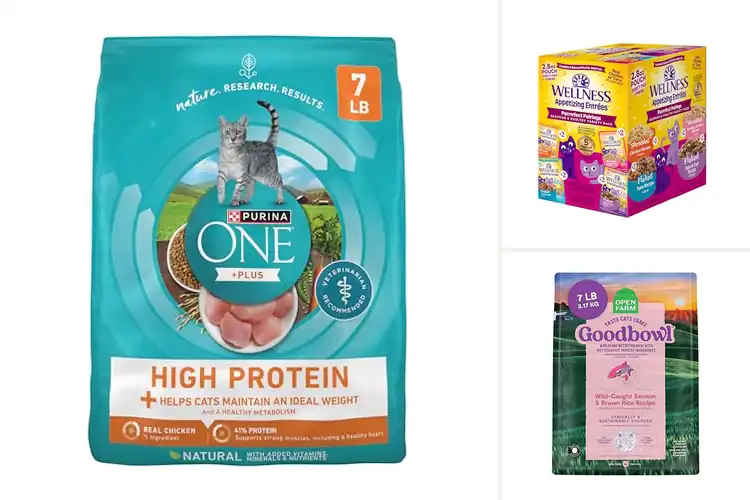 Protein Rich: Strengthen Your Pet’s Vitals – NamingPet