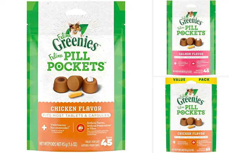 Cat Medication Aid: Stress-Free Pill Time for Cats – NamingPet